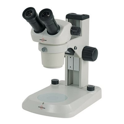 Bench Microscopes